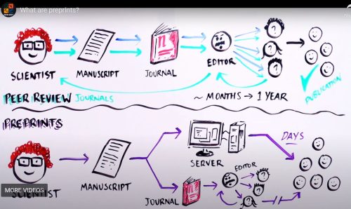 ¿Qué es un preprint? 5 ventajas de publicar en un servidor preprint ...