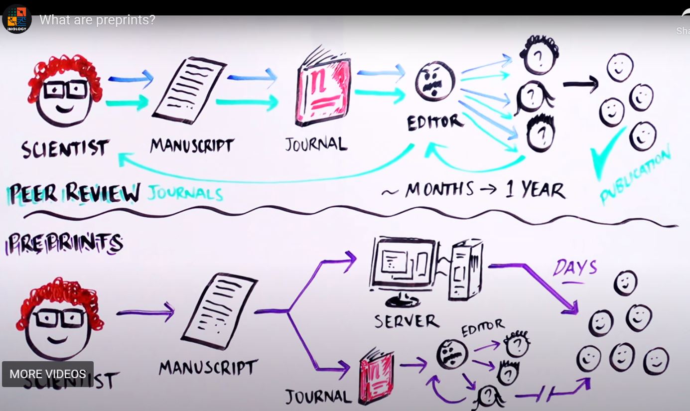 ¿Qué es un preprint? 5 ventajas de publicar en un servidor preprint ...